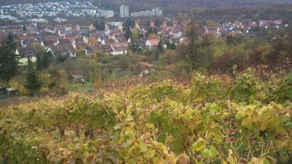 Stuttgart - Feuerbach, Germany - Webcams