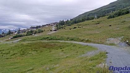 Oppdal - Ski center, Norway - Webcams