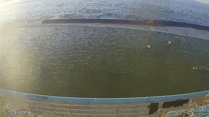 Brixham - Shoalstone Seawater Pool, United Kingdom - Webcams