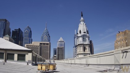 Philadelphia - The Wanamaker Office Building, Pennsylvania (USA) - Webcams