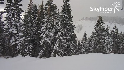 Homewood Mountain Resort, California (USA) - Webcams