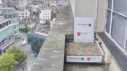 Nottingham Trent University - Peregrine falcons, United Kingdom - Webcams