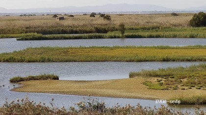 Réserve naturelle de l'estuaire du Tage, Portugal - Webcams
