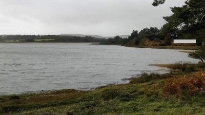 Arne Nature Reserve - Middlebere Channel, United Kingdom - Webcams