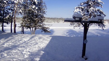 Ely - Fall Lake, Minnesota (USA) - Webcams