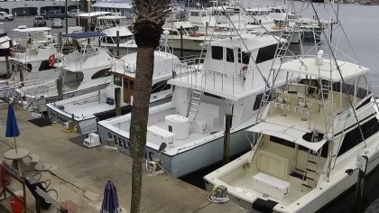 Panama City - Capt. Anderson's, Florida (USA) - Webcams