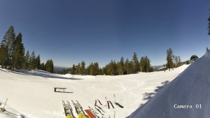 Pinecrest - Dodge Ridge Ski Resort, California (USA) - Webcams