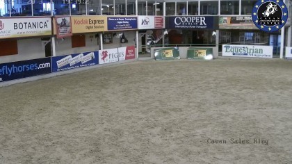Cavan - Cavan Equestrian Centre, Republic of Ireland - Webcams