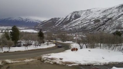 Woodland Hills - Panoramic view, Utah (USA) - Webcams