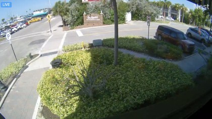 Dunedin - Marina Plaza, Floryda (USA) - kamery internetowe, webcams