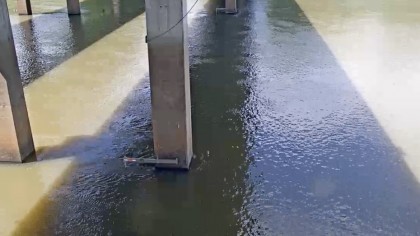 Cayce - Congaree River, South Carolina (USA) - Webcams