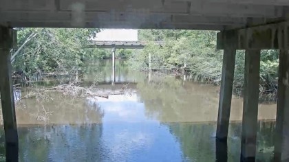 Olanta - Lynches River, South Carolina (USA) - Webcams