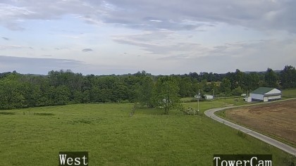Custer - Panoramablick, Kentucky (USA) - Webcams