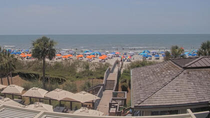 Hilton Head Island - The Sea Pines Resort, South Carolina (USA) - Webcams