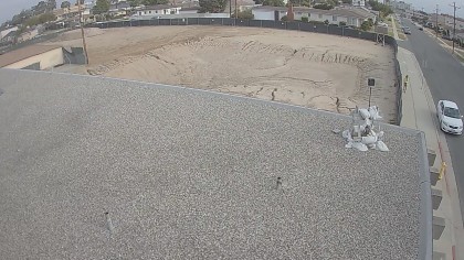 Gardena - Primm Pool, California (USA) - Webcams