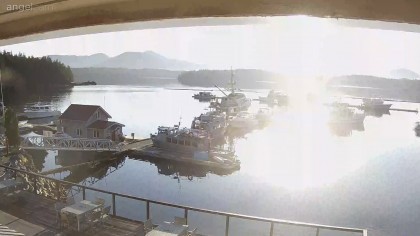 Denny Island - Shearwater Resort & Marina, Canada - Webcams