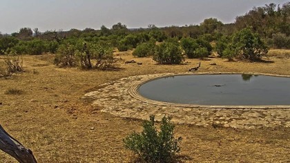 Kruger National Park - Orpen Rest Camp, South Africa - Webcams