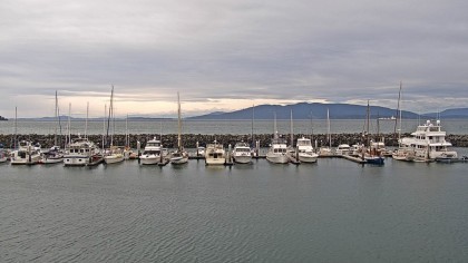 Bellingham - Squalicum Harbor, Washington (USA) - Webcams