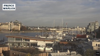 Victoria - Harbour, Canada - Webcams