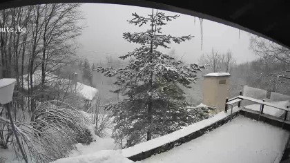 Vitosha Nature Park - Balkanity Hut, Bulgaria - Webcams