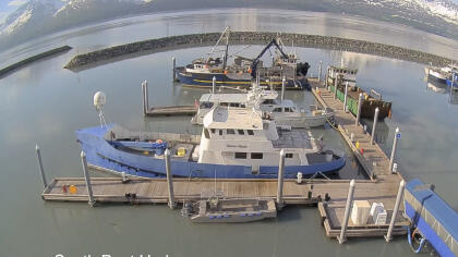 Valdez - South Boat Harbor, Alaska (USA) - Live View
