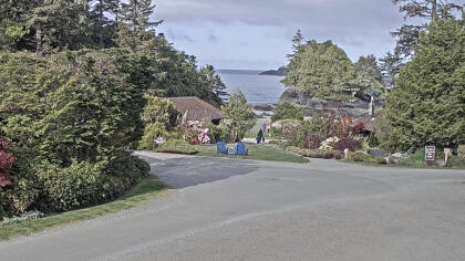 Tofino - Crystal Cove Beach Resort, Canada - Webcams