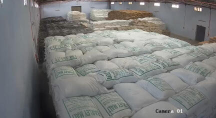 Palakkad - Kanjikode, India - Webcams