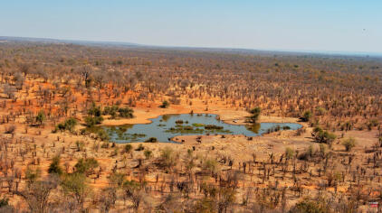 Victoria Falls - Zambezi National Park, Zimbabwe - Webcams