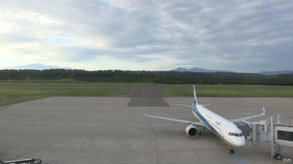 Sakata - Port lotniczy Shonai, Japonia - kamery internetowe, webcams
