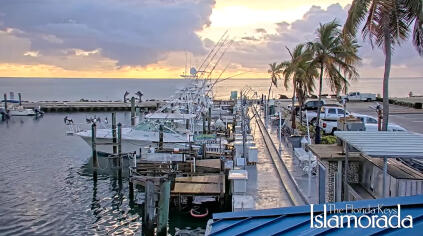 Islamorada - Islamorada Charter Boats, Florida (USA) - Webcams