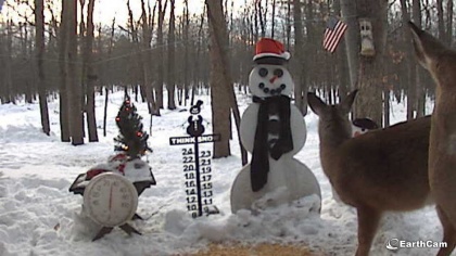 Gaylord - Snowman, Michigan (USA) - Webcams