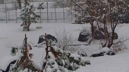 Billings - Zoo Montana, Montana (USA) - Cámaras web, webcam