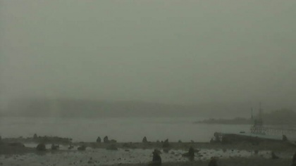 Bird Island Station, Antarktyda - kamery internetowe, webcams