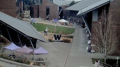 Bothell - University of Washington Bothell, Washington (USA) - Webcams