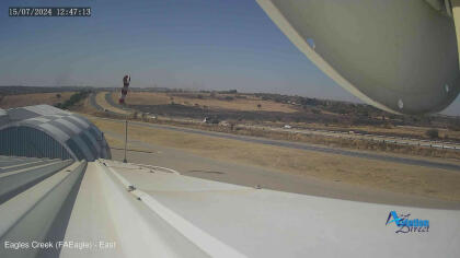 Centurion - Eagle's Creek Aviation Estate, South Africa - Webcams