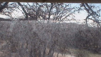 Concan - Frio, Texas (USA) - Webcams