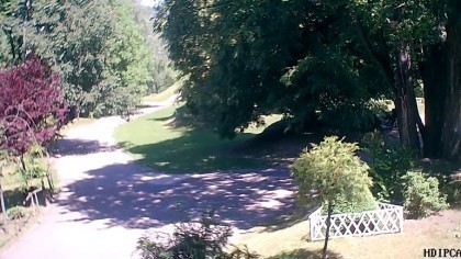 Fastiv - Several views, Ukraine - Webcams