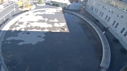 Guelph - Market Square, Canada - Webcams