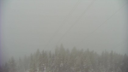 Hamilton - Panoramic view, Montana (USA) - Webcams