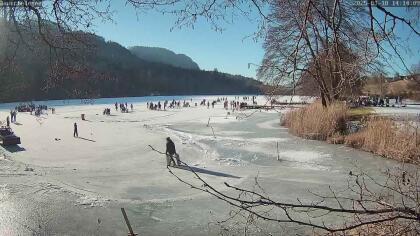 Höflein - Lake Rauschelesee, Austria - Webcams