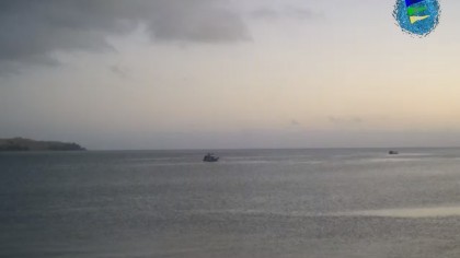 Kawakawa - Firth of Thames, Nowa Zelandia - kamery internetowe, webcams