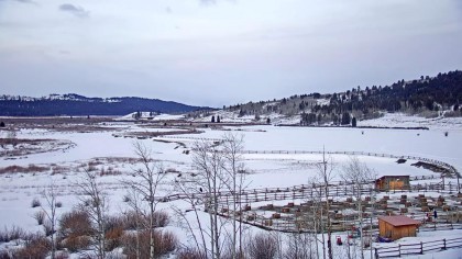 Moran - Heart Six Ranch, Wyoming (USA) - Webcams