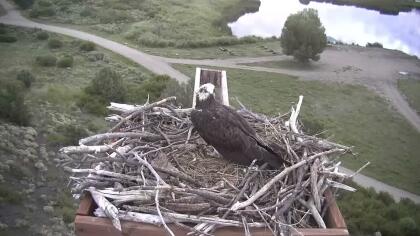 Pagosa Springs - Lake Capote Recreation Area - Osprey, Colorado (USA ...