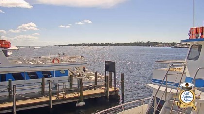 Panama City Beach - Capt. Anderson's Marina, Florida (USA) - Webcams