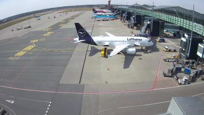 Port lotniczy Gdańsk, Gdańsk - kamery internetowe, webcams