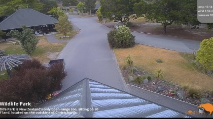Christchurch - Orana Wildlife Park, New Zealand - Webcams
