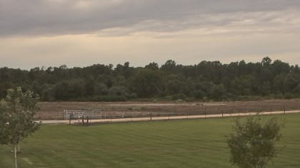 Richmond - Long Acres Ranch, Texas (USA) - Cámaras web, webcam