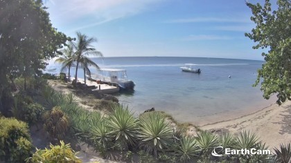 Roatán - Las Rocas Resort and Dive Center, Honduras - Webcams