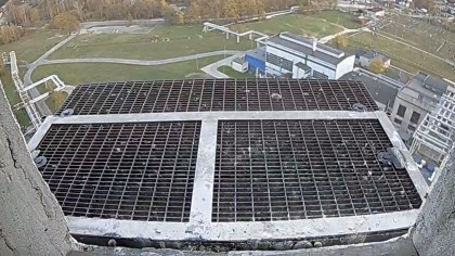 Sokoły, Skawina - kamery internetowe, webcams