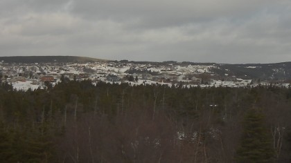 Torbay - Panoramic view, Canada - Webcams